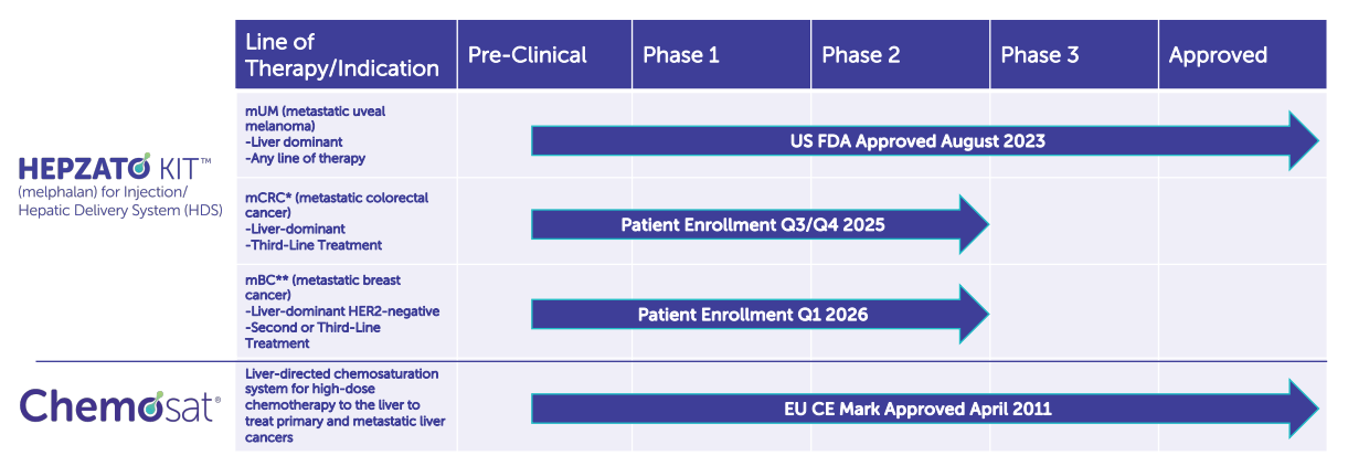 Delcath Systems: Huge Potential But With The Handbrake On For Now ...