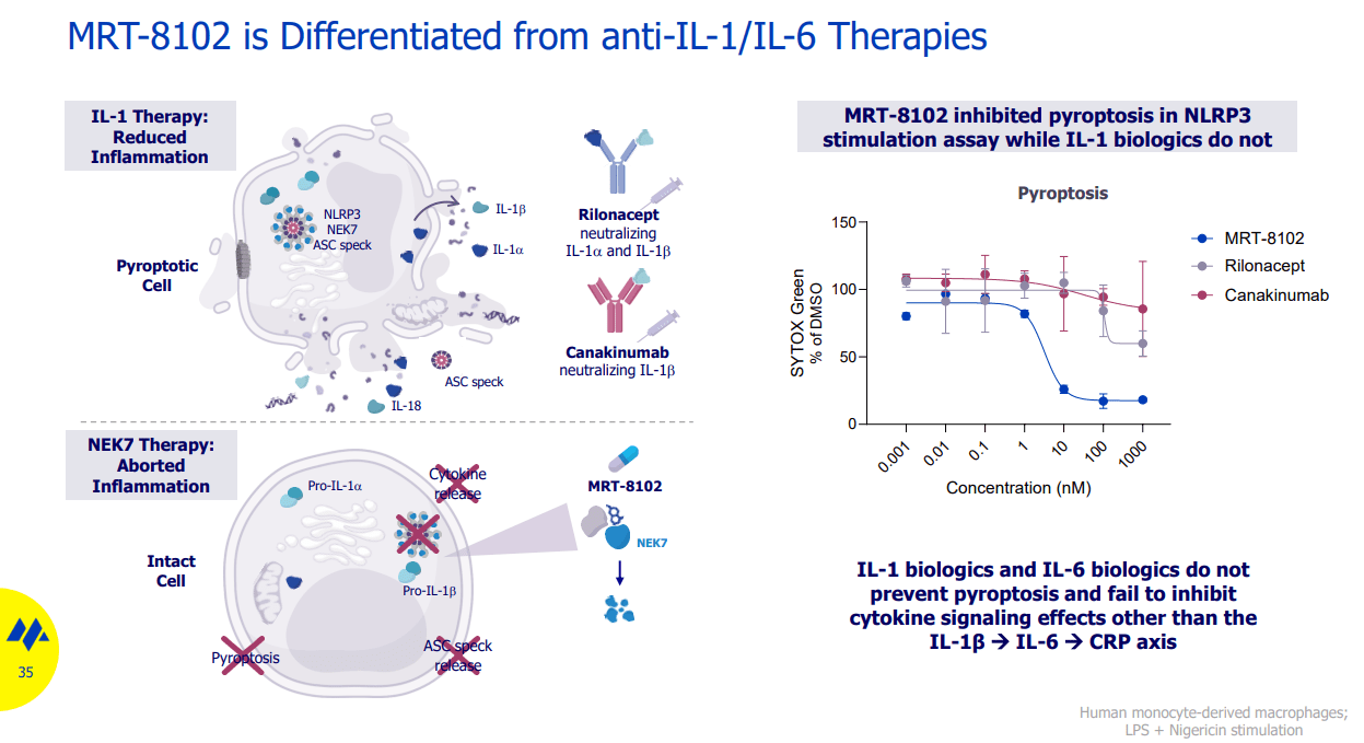 Monte Rosa Therapeutics And The Promise Of Molecular Glue Degraders ...