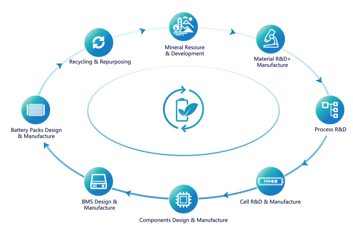 BYD's Vertical Moat: How Integration And Expansion Could Redefine EV ...