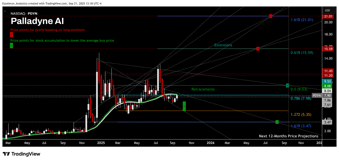 Palladyne AI: Targets The Next Industrial Revolution, Robotics AI ...