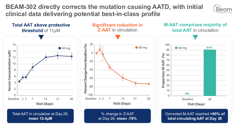 Beam Therapeutics: Pivoting From Platform To Execution Stage (NASDAQ ...