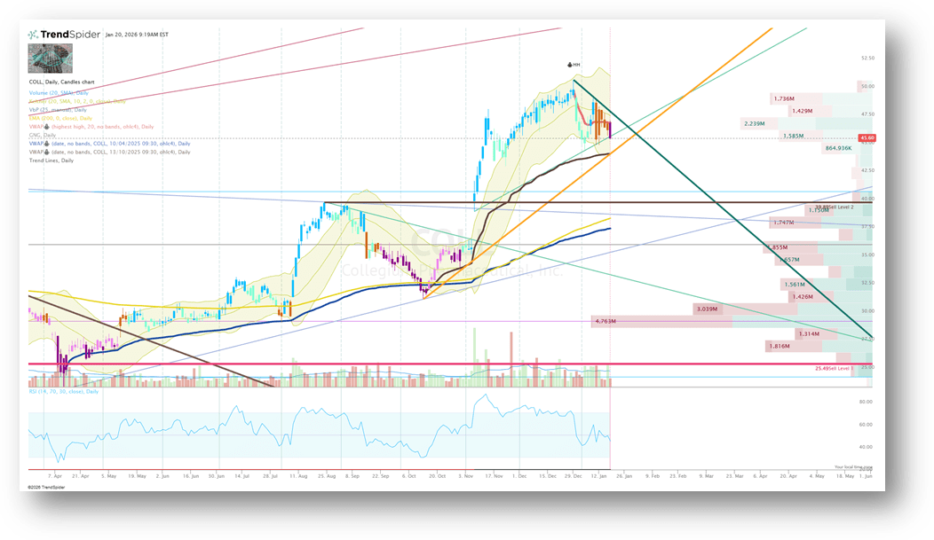 Collegium Pharmaceutical Stock: Buying The Projected Growth For 2026 ...