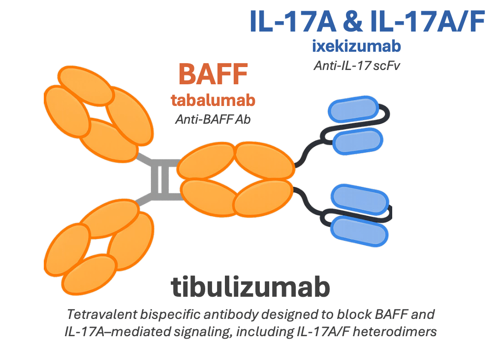 Zura Bio: Momentum Is Real, But TibuSHIELD Needs To Deliver (NASDAQ ...