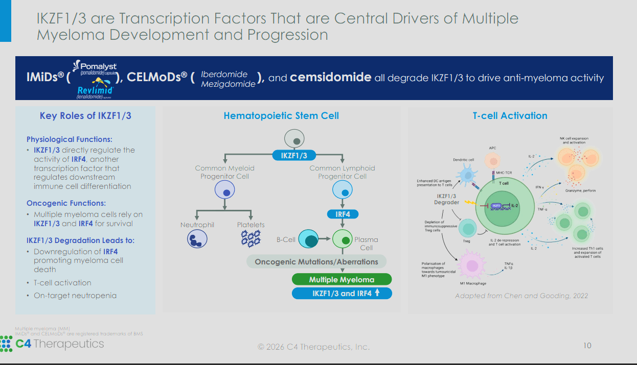 C4 Therapeutics: Cemsidomide Progress Keeps The Long-Term Thesis Intact ...