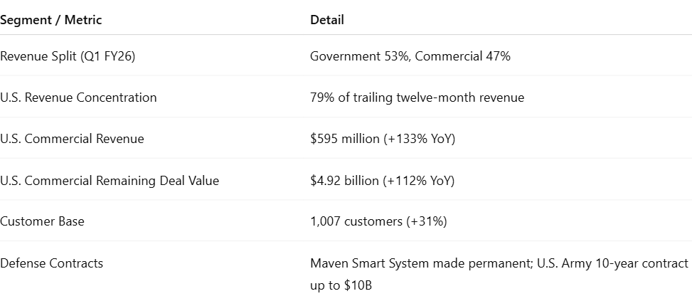 Palantir: Strong Execution, But The Budget Ceiling Is Now Visible ...