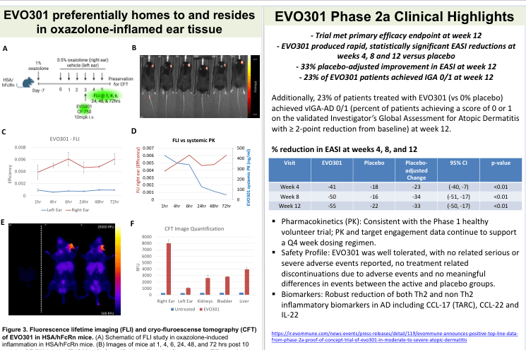 Evommune’s Healthy Balance Sheet Buys Them Time For AD (NYSE:EVMN ...