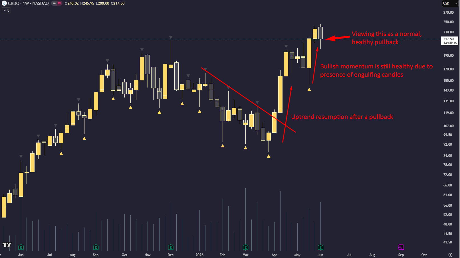 Credo Stock: Optics Ramp, Margin Upside And Bullish Charts Point To ...