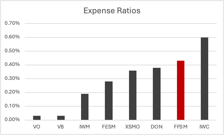 FFSM: An Attractive Satellite Allocation For Small-Mid Cap Exposure ...