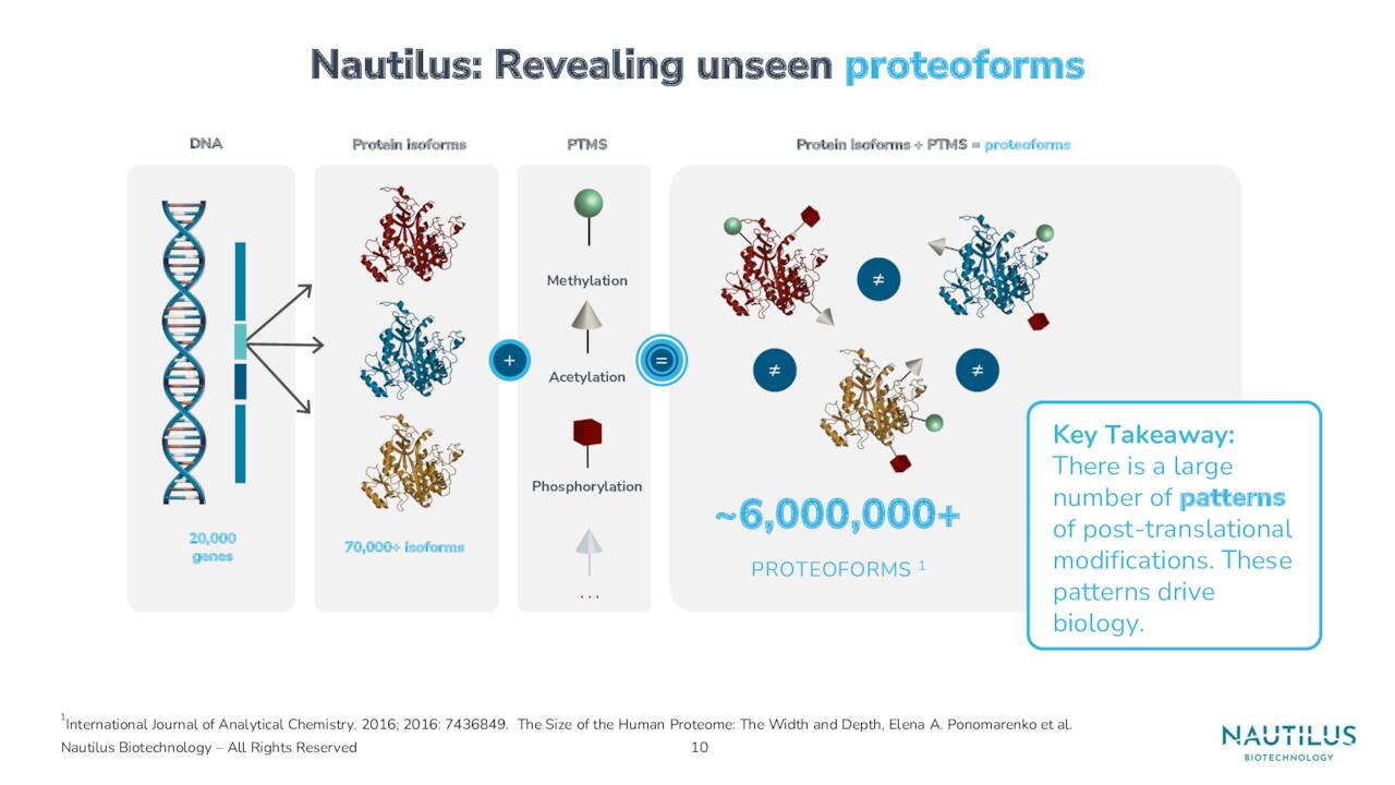 Nautilus Biotechnology: The Rubber Will Soon Meet The Road (NASDAQ:NAUT ...