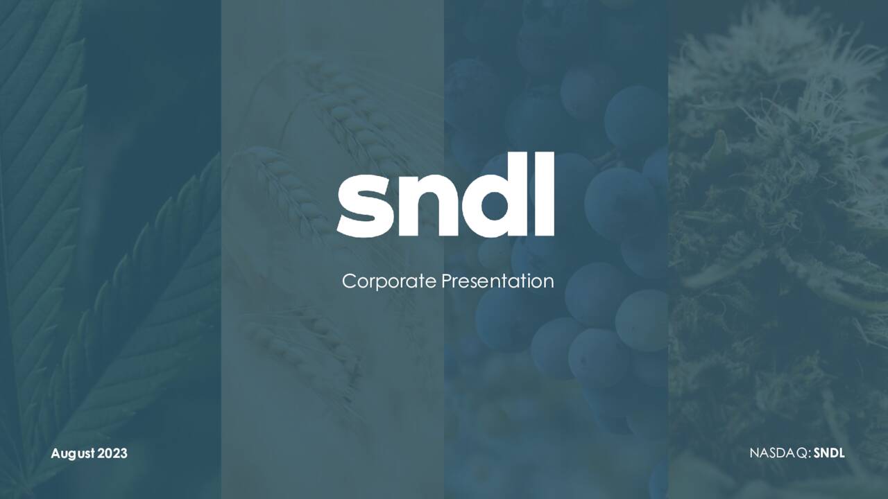 SNDL Inc. 2023 Q2 - Results - Earnings Call Presentation (NASDAQ:SNDL ...