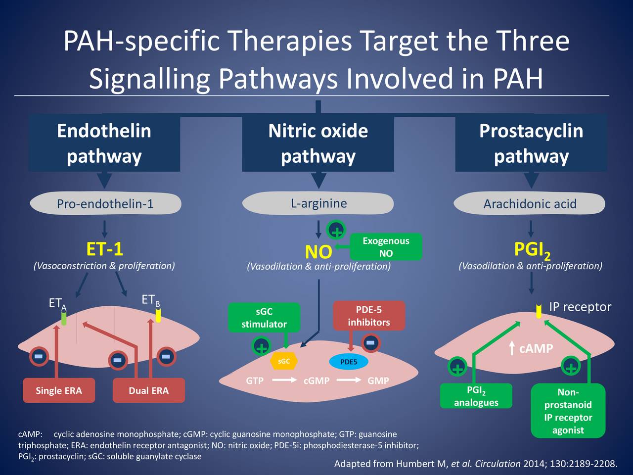 Arena Pharmaceuticals (ARNA) Presents On Pulmonary Arterial ...