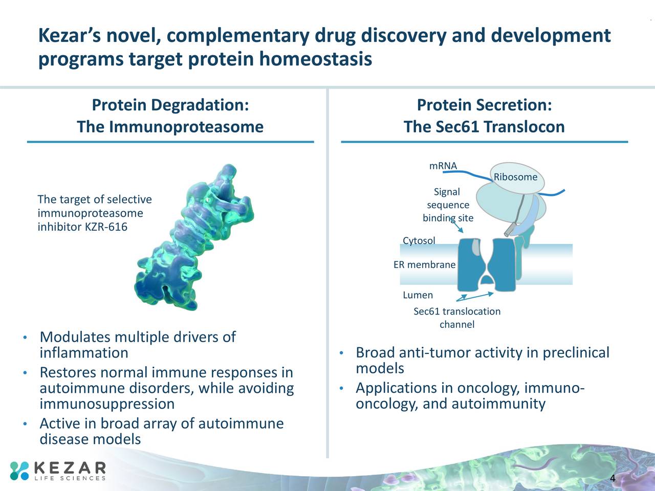 Kezar Life Sciences (KZR) Investor Presentation - Slideshow (NASDAQ:KZR ...