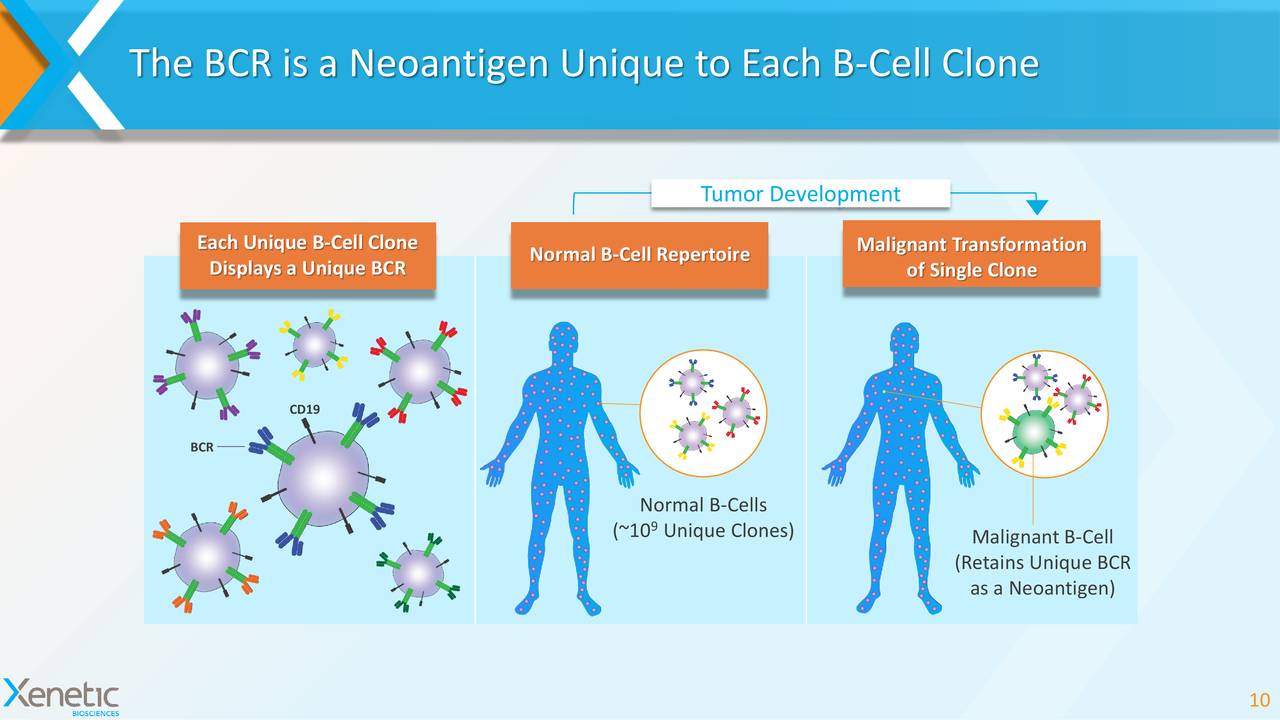 Xenetic Biosciences (XBIO) Investor Presentation - Slideshow (NASDAQ ...