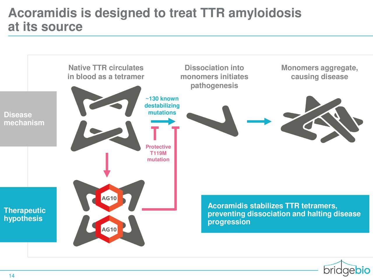 BridgeBio Pharma (BBIO) Investor Presentation - Slideshow (NASDAQ:BBIO ...