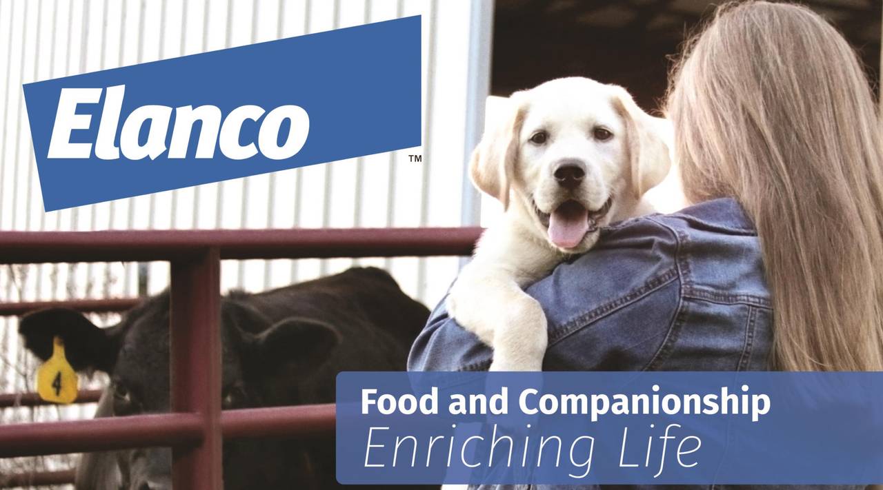 Elanco Animal Health Incorporated 2019 Q1 - Results - Earnings Call ...