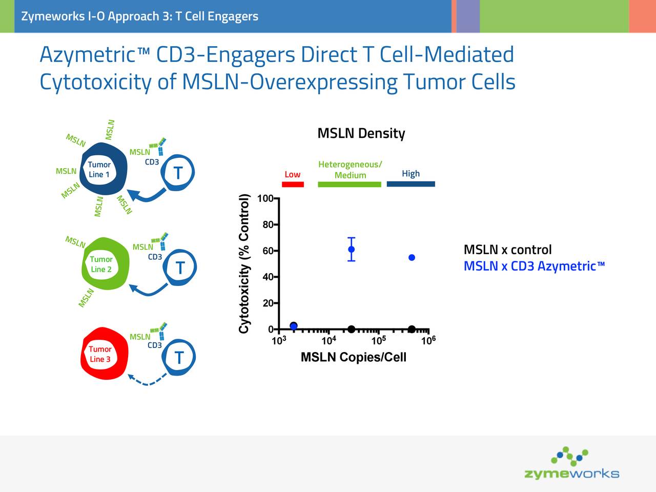 Zymeworks (ZYME) Investor Presentation - Slideshow (NYSE:ZYME ...
