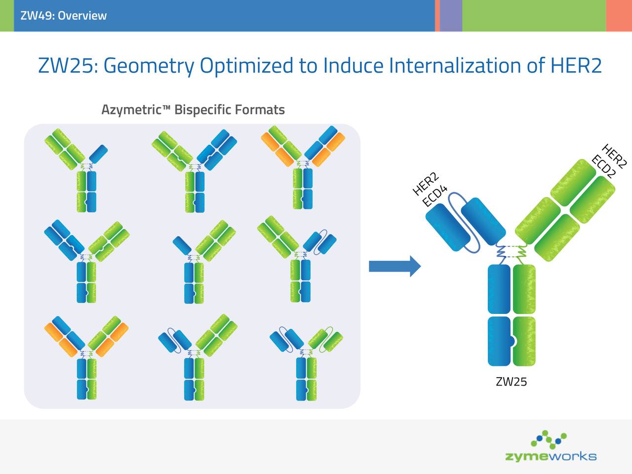 Zymeworks (ZYME) Investor Presentation - Slideshow (NYSE:ZYME ...