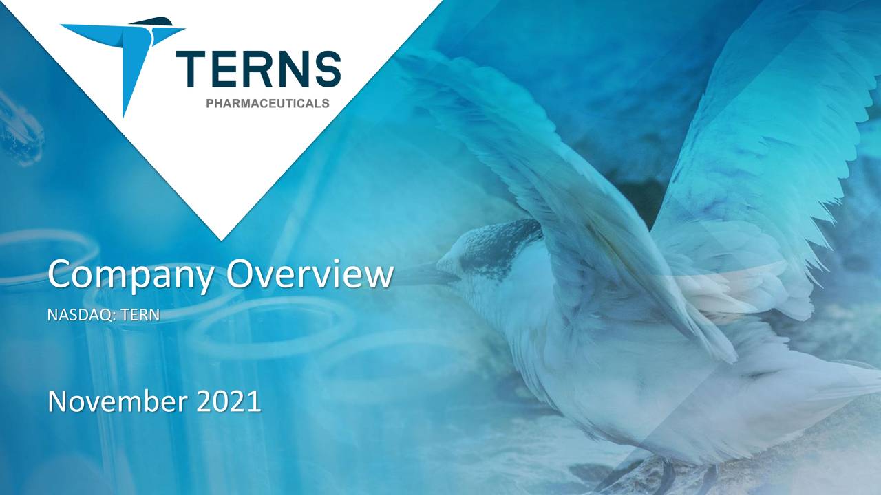 Terns Pharmaceuticals (TERN) Investor Presentation - Slideshow (NASDAQ ...