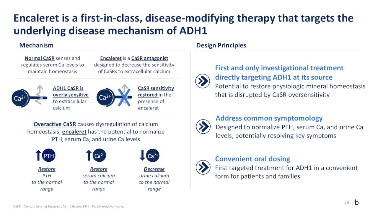 The Play On BridgeBio Pharma: Great Expectations For Attruby (NASDAQ ...