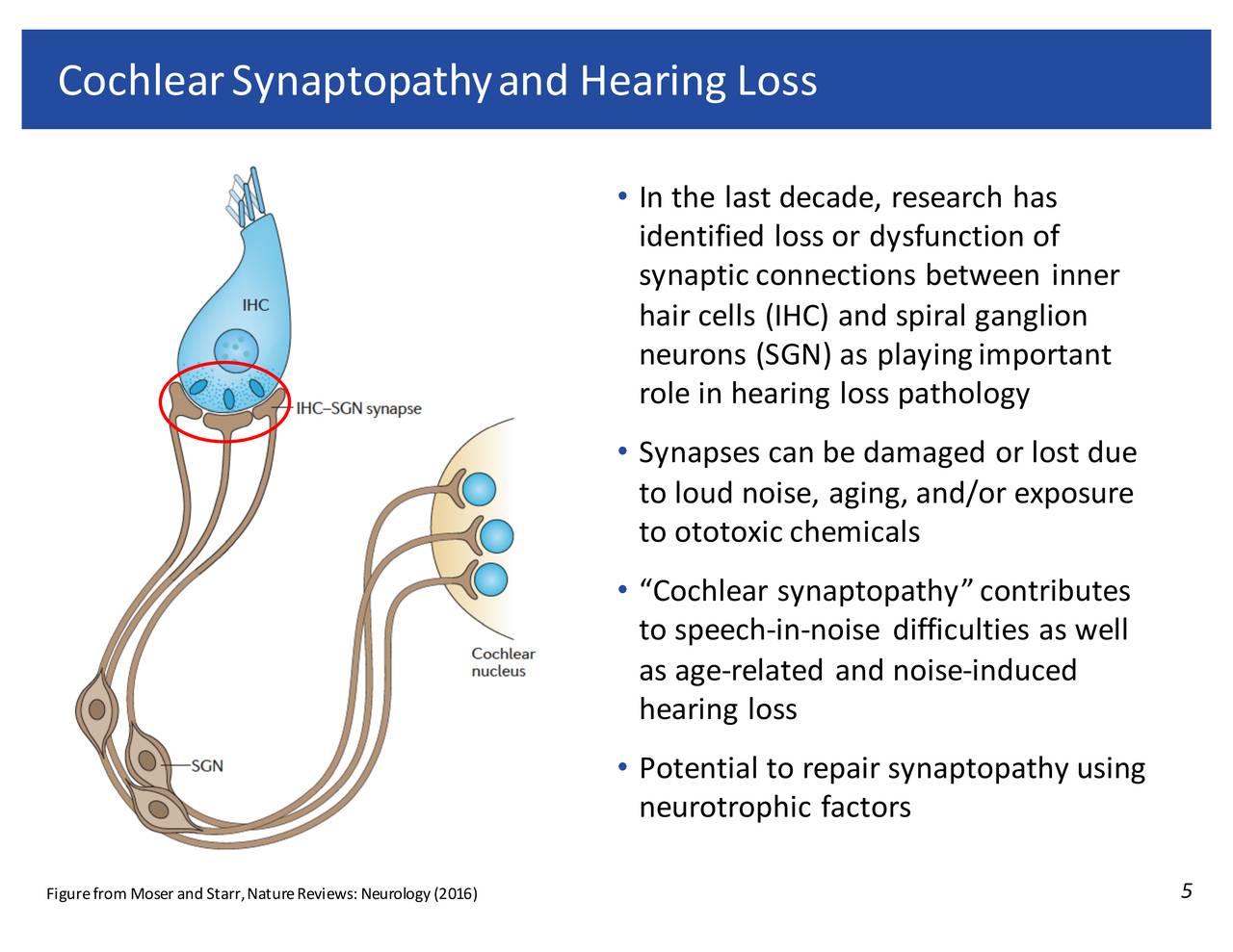 Otonomy (OTIC) Updates On OTO-413 Program - Slideshow - Otonomy, Inc ...