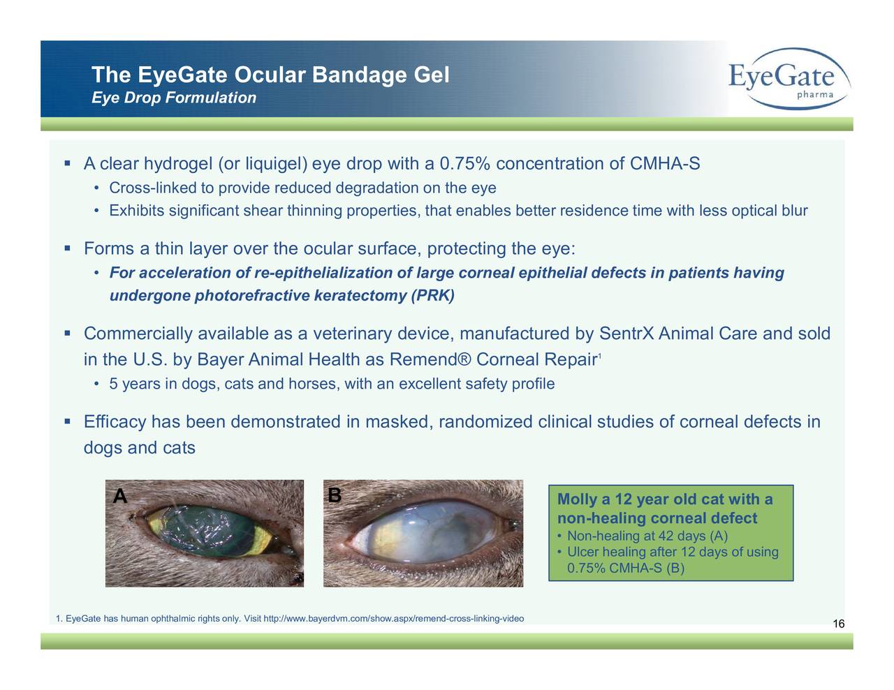 EyeGate Pharmaceuticals (EYEG) Investor Presentation - Slideshow ...