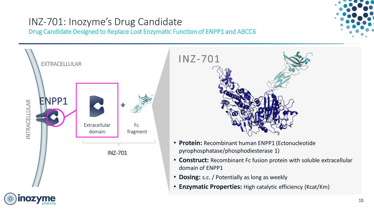 Inozyme Pharma (INZY) Investor Presentation - Slideshow (NASDAQ:INZY ...