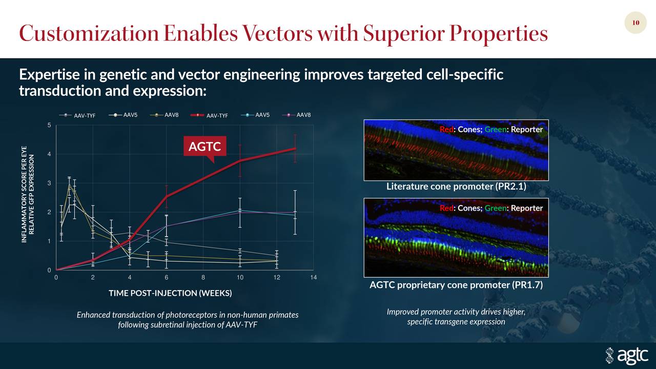 Applied Genetic Technologies (AGTC) Investor Presentation - Slideshow ...