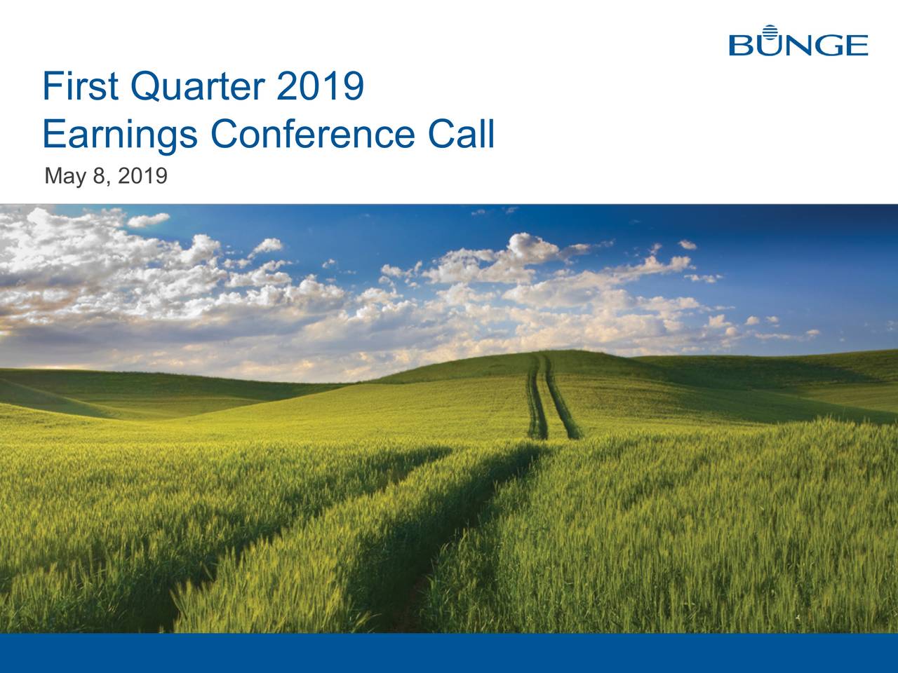 Bunge Limited 2019 Q1 - Results - Earnings Call Slides (NYSE:BG ...