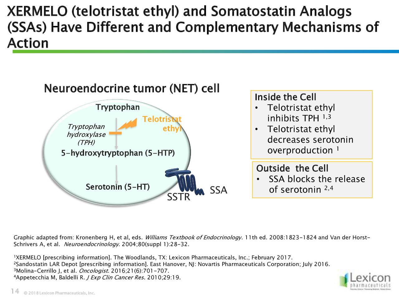 Lexicon Pharmaceuticals (LXRX) Investor Presentation - Slideshow ...