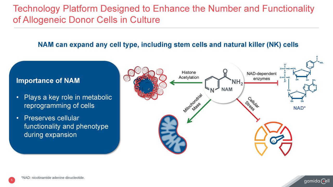 Gamida Cell (GMDA) Investor Presentation - Slideshow (NASDAQ:GMDA ...